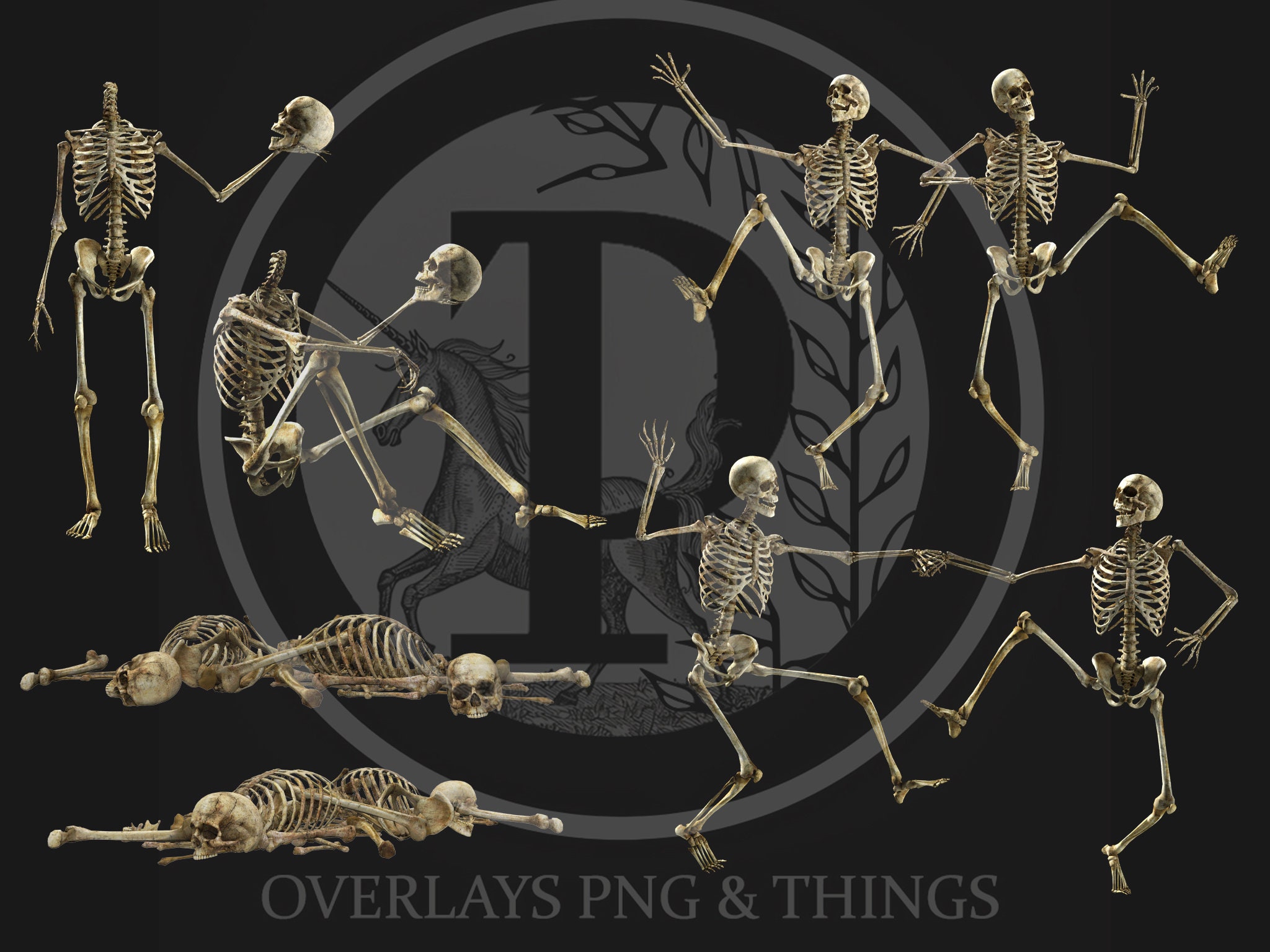Skeleton Overlays Collection / Bone Png / Halloween Clipart / Monster ...