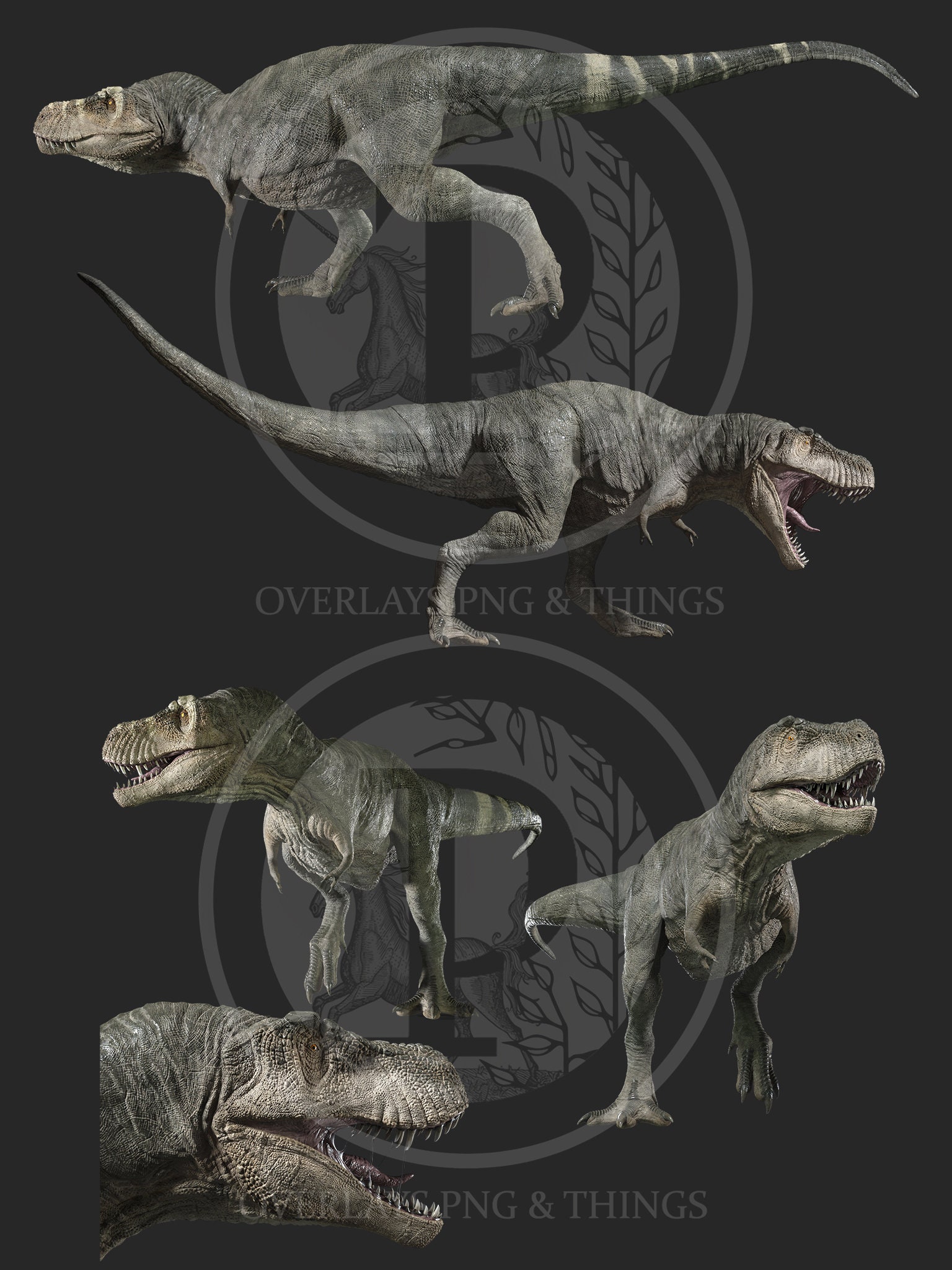 T-rex Digital Overlays,tyrannosaurus Clipart,png Overlays,dinosaur ...
