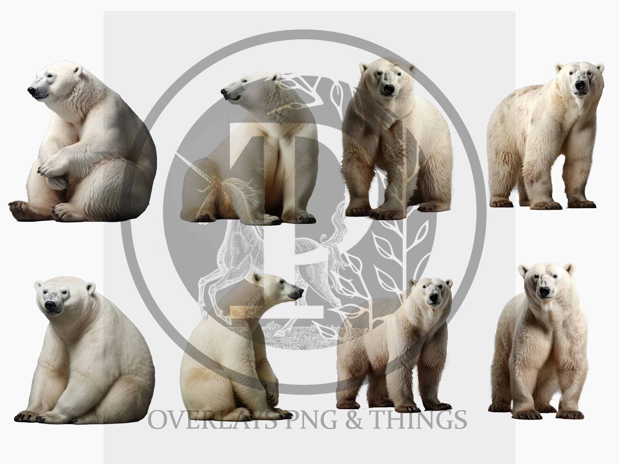 Polar Bear Digital Overlays, PNG Overlays, Animal Clipart, Animal ...