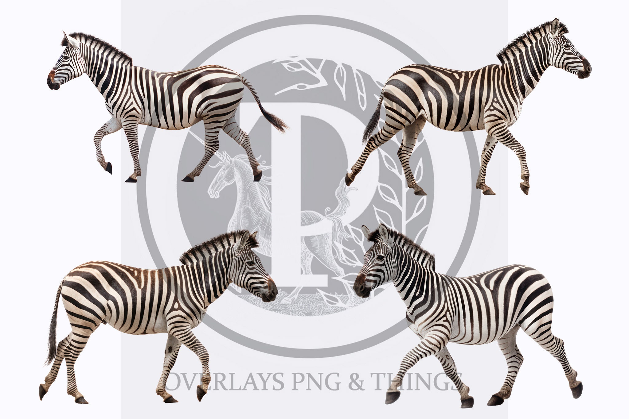 Zebra Digital Overlays, PNG Overlays, Animal Clipart,zebra Overlays ...
