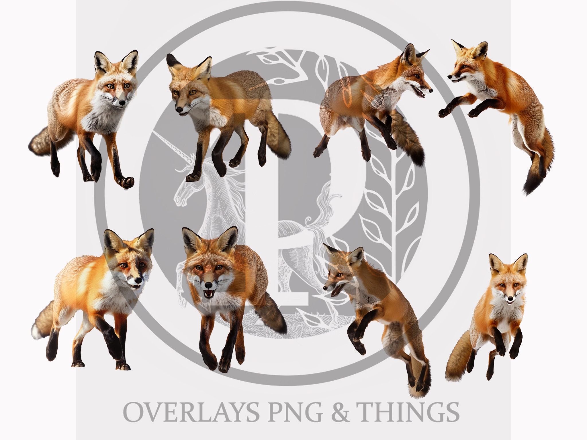 Fox Digital Overlays PNG Overlays Animal Clipart Animal - Etsy Ireland