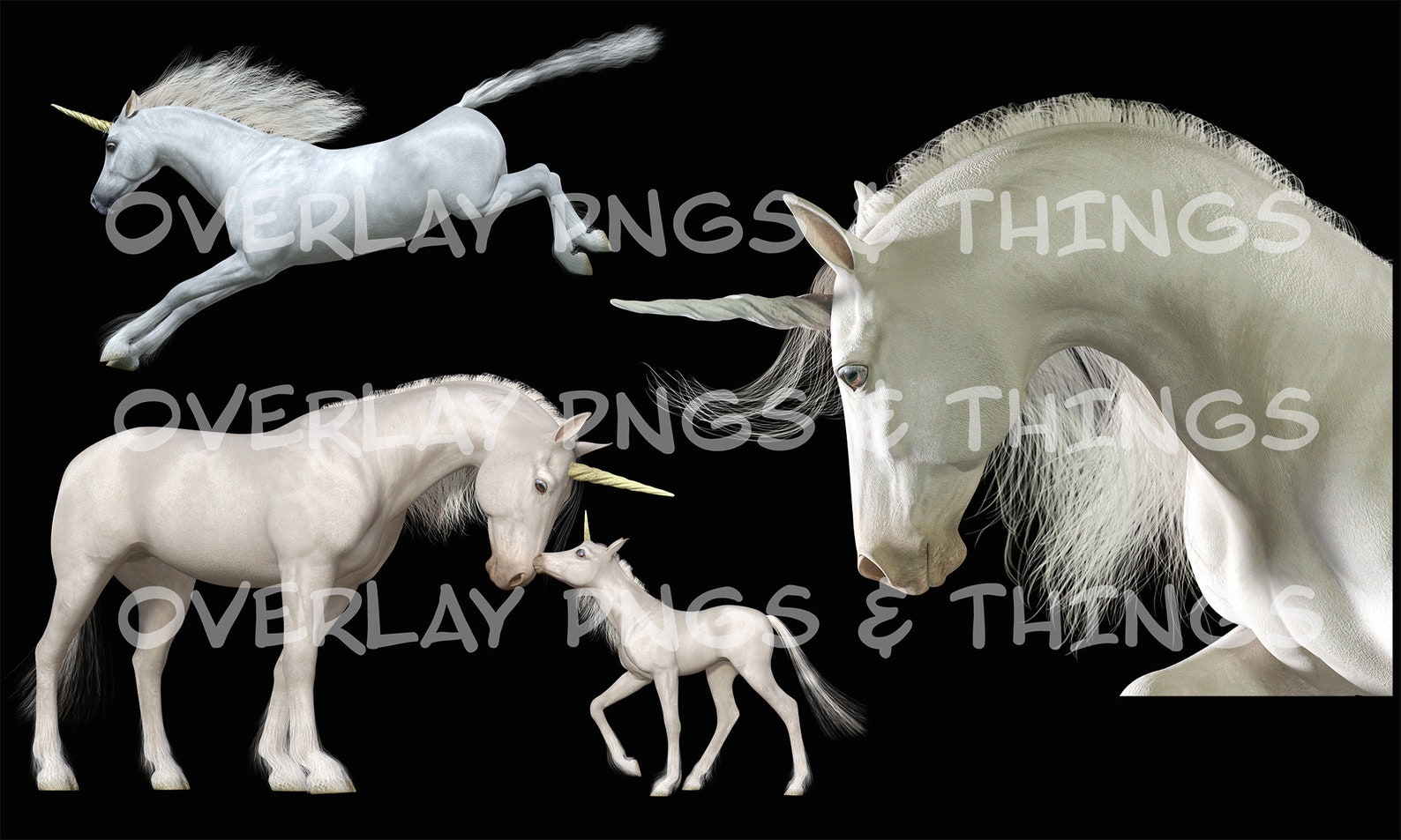 Unicorn Overlays | PNG | Photoshop Overlays | Unicorn Digital Art ...