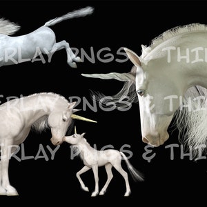 Unicorn Overlays | PNG | Photoshop Overlays | Unicorn Digital Art ...