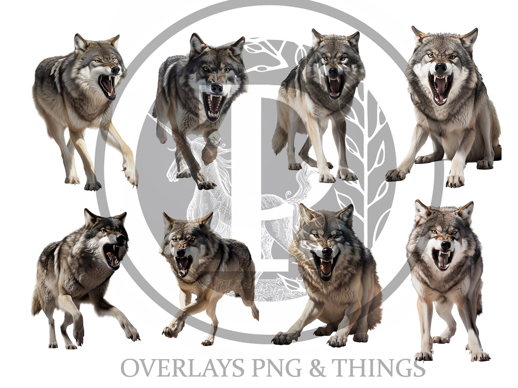 Wolves Digital Overlays PNG Overlays Animal Clipart Animal - Etsy UK