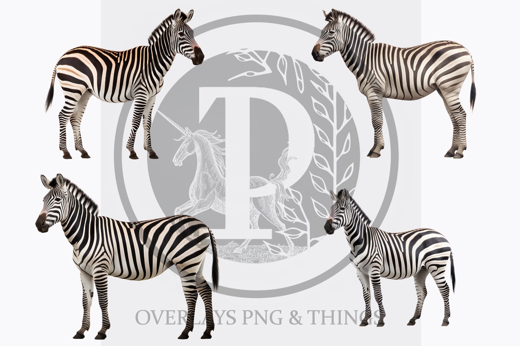Zebra Digital Overlays, PNG Overlays, Animal Clipart,zebra Overlays ...