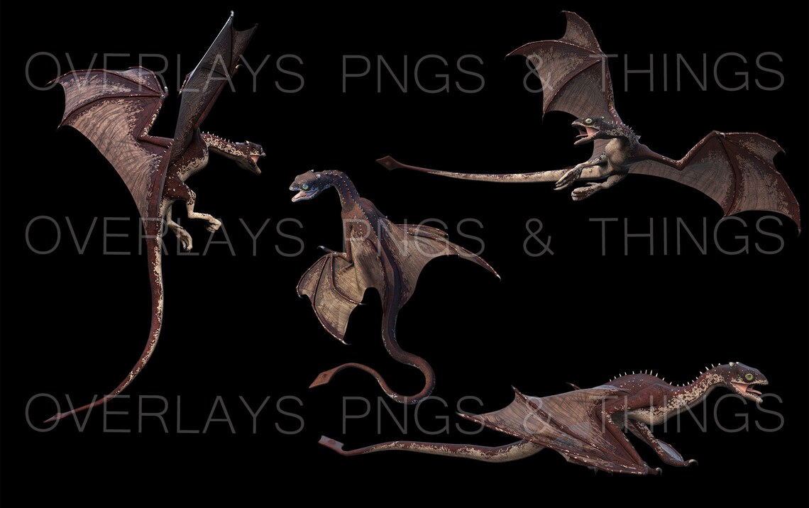 Baby Dragon Overlays PNG Photoshop Overlays Dragon Digital Art Digital ...