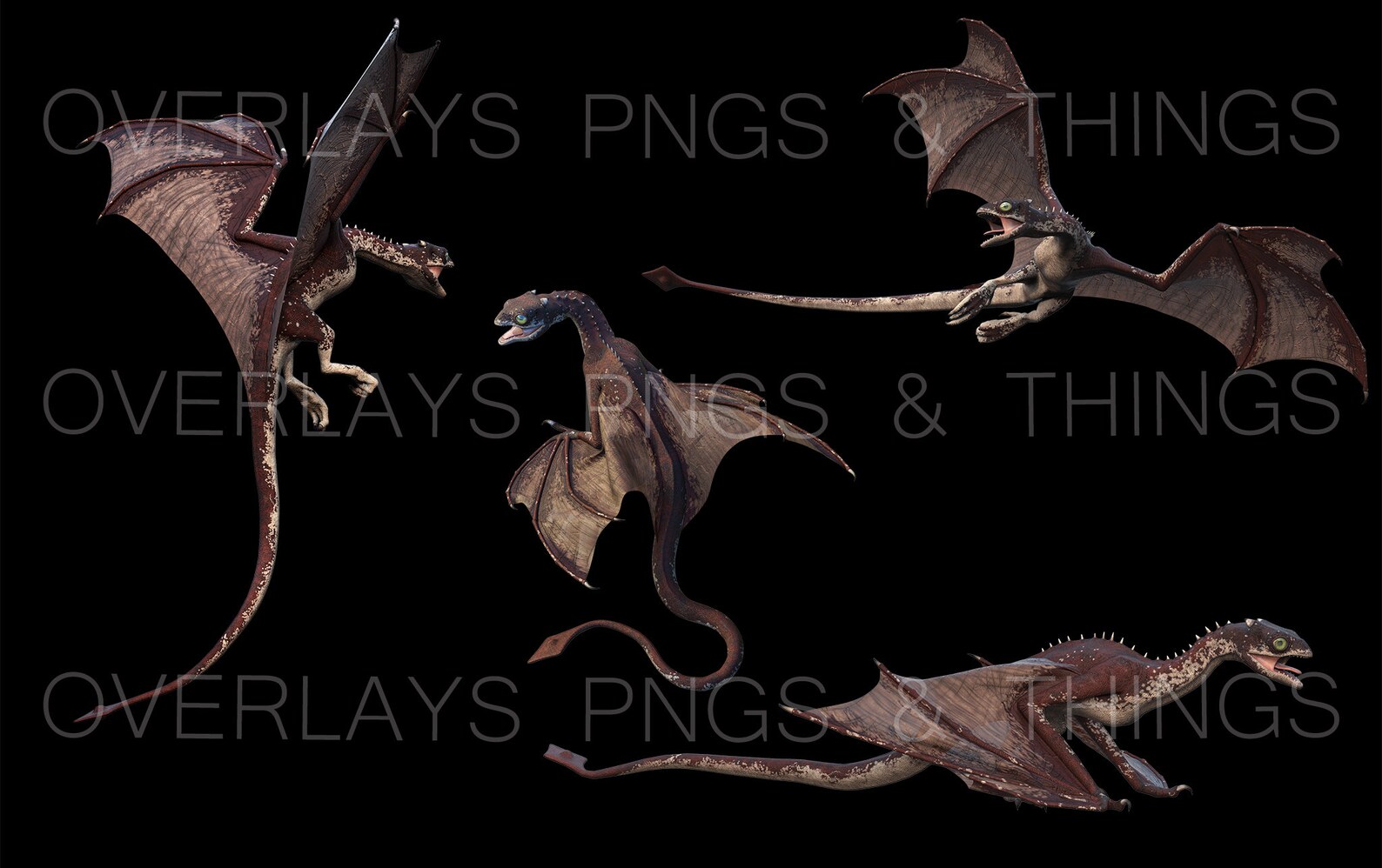 Baby Dragon Overlays PNG Photoshop Overlays Dragon Digital Art Digital ...