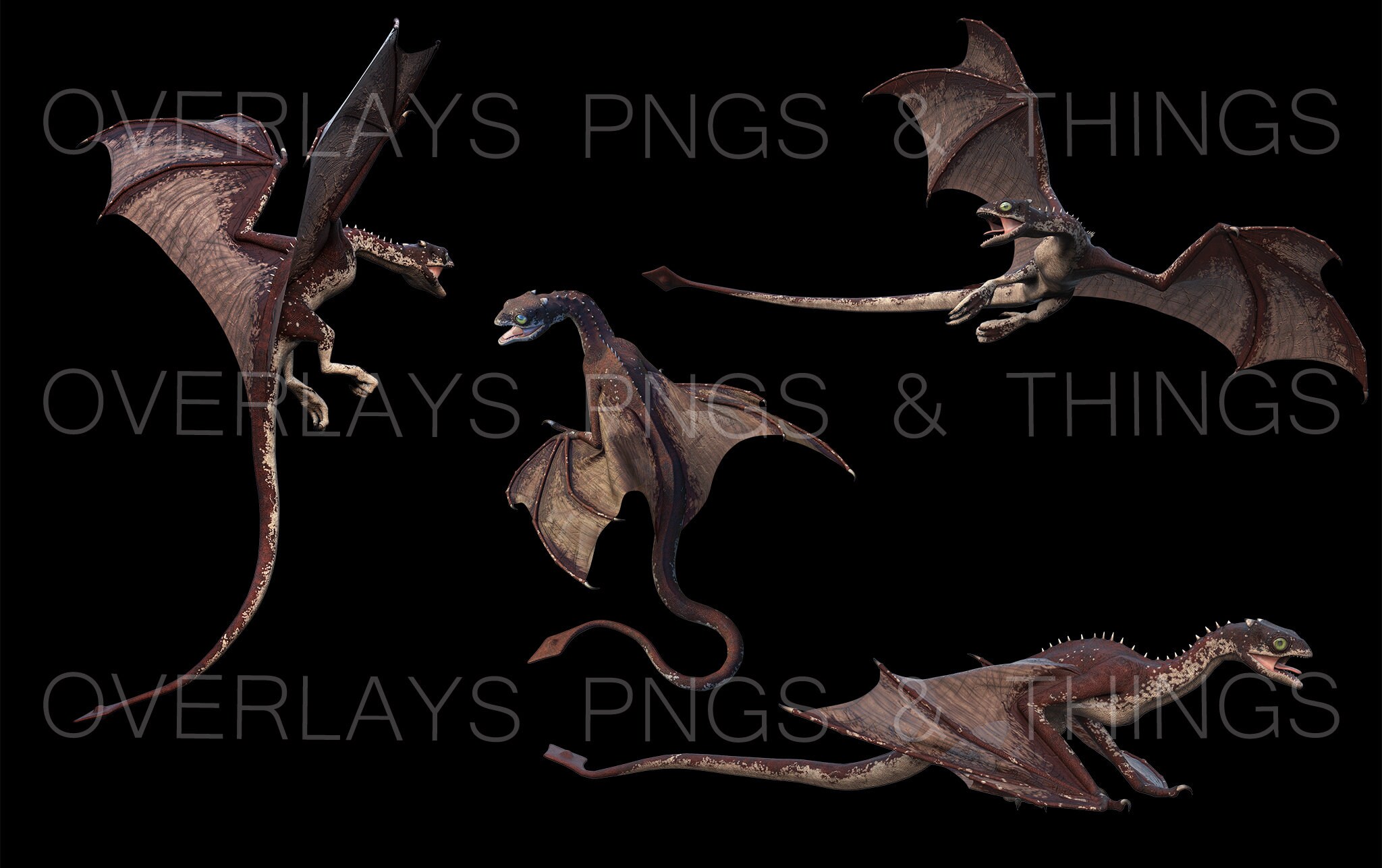 Baby Dragon Overlays PNG Photoshop Overlays Dragon Digital Art Digital ...