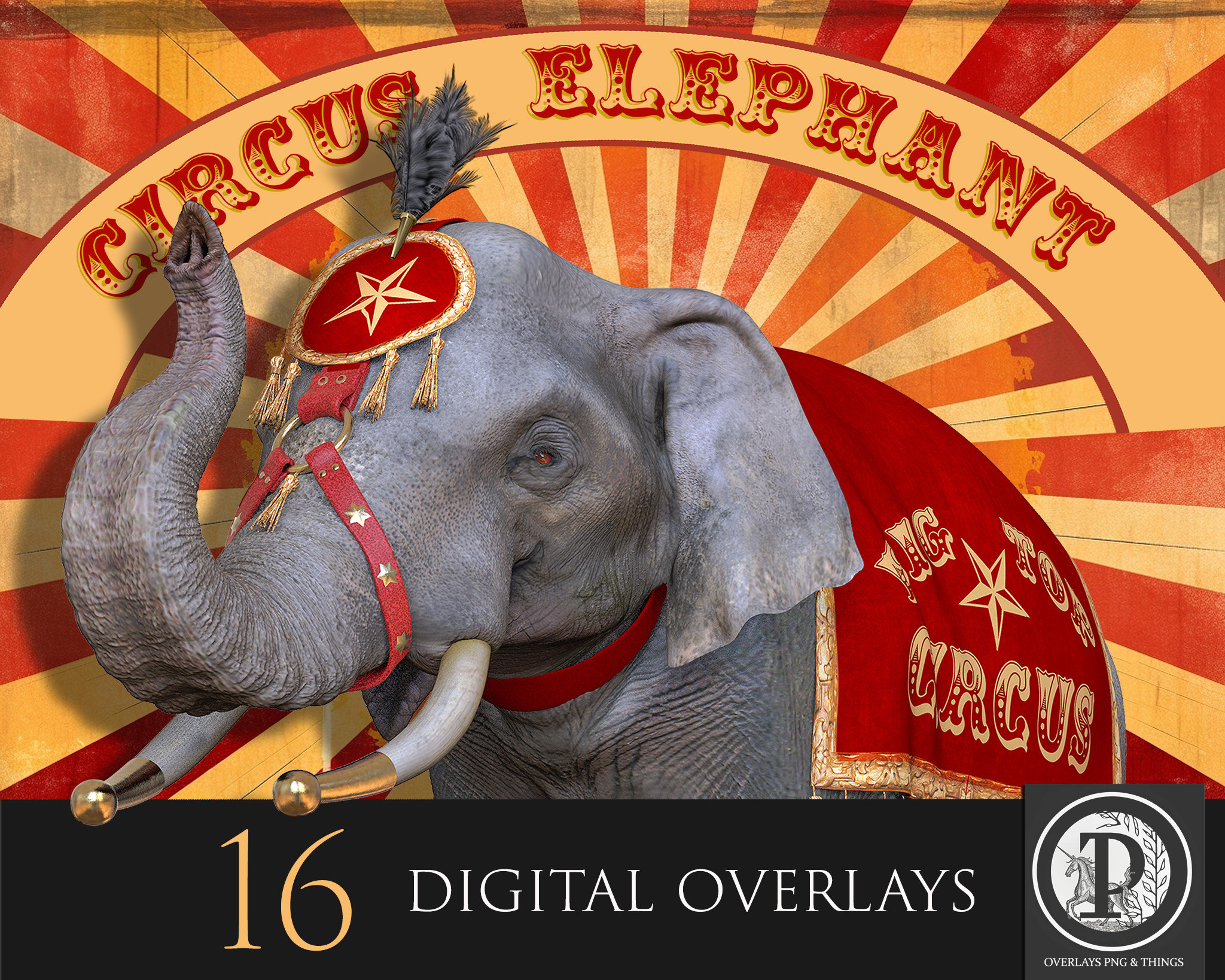 Circus Elephant Overlays / Digital Clipart / Animal Art / Big - Etsy