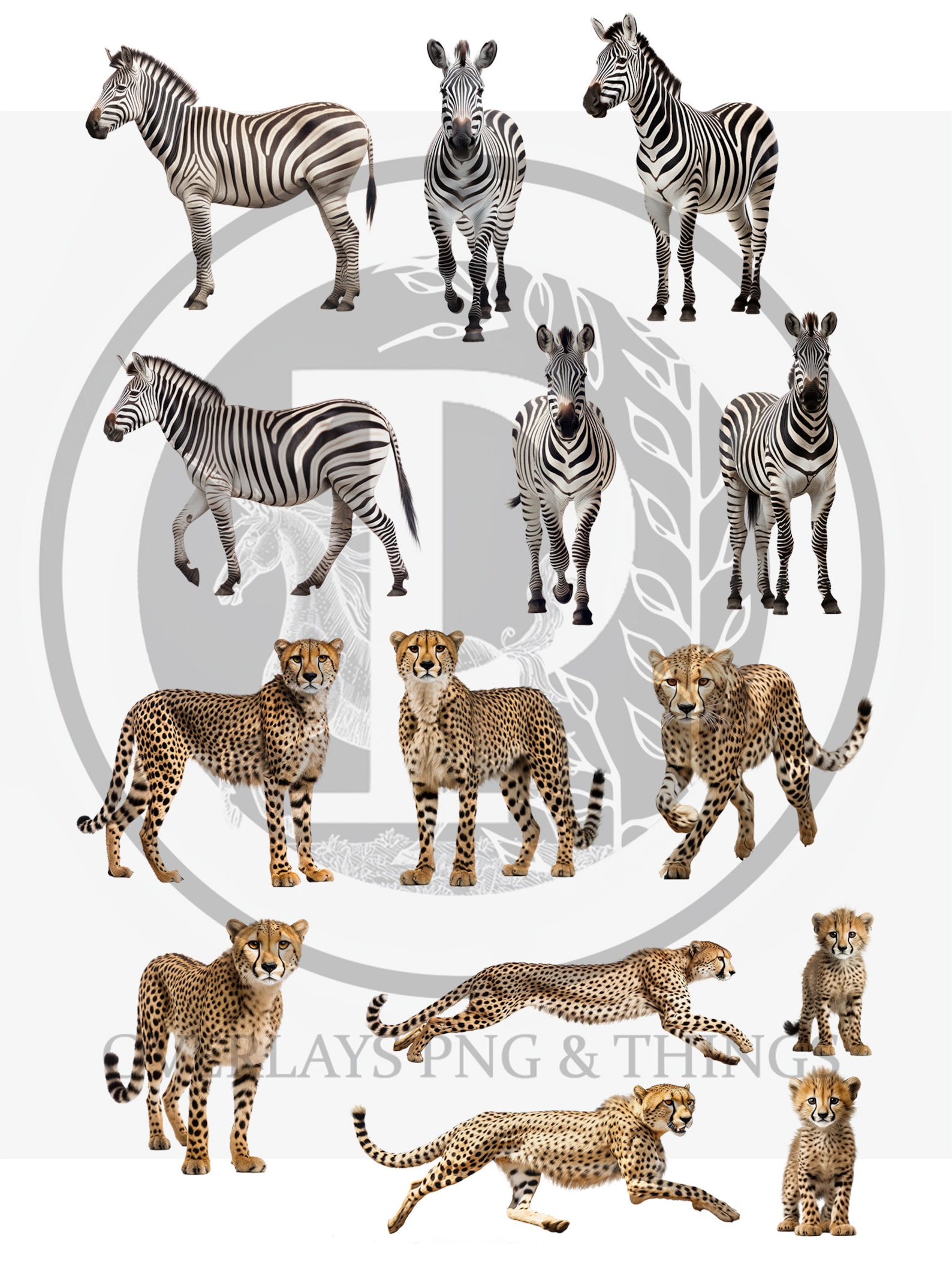 Safari Digital Overlays, Lion Clipart,elephant PNG Overlays,animal ...