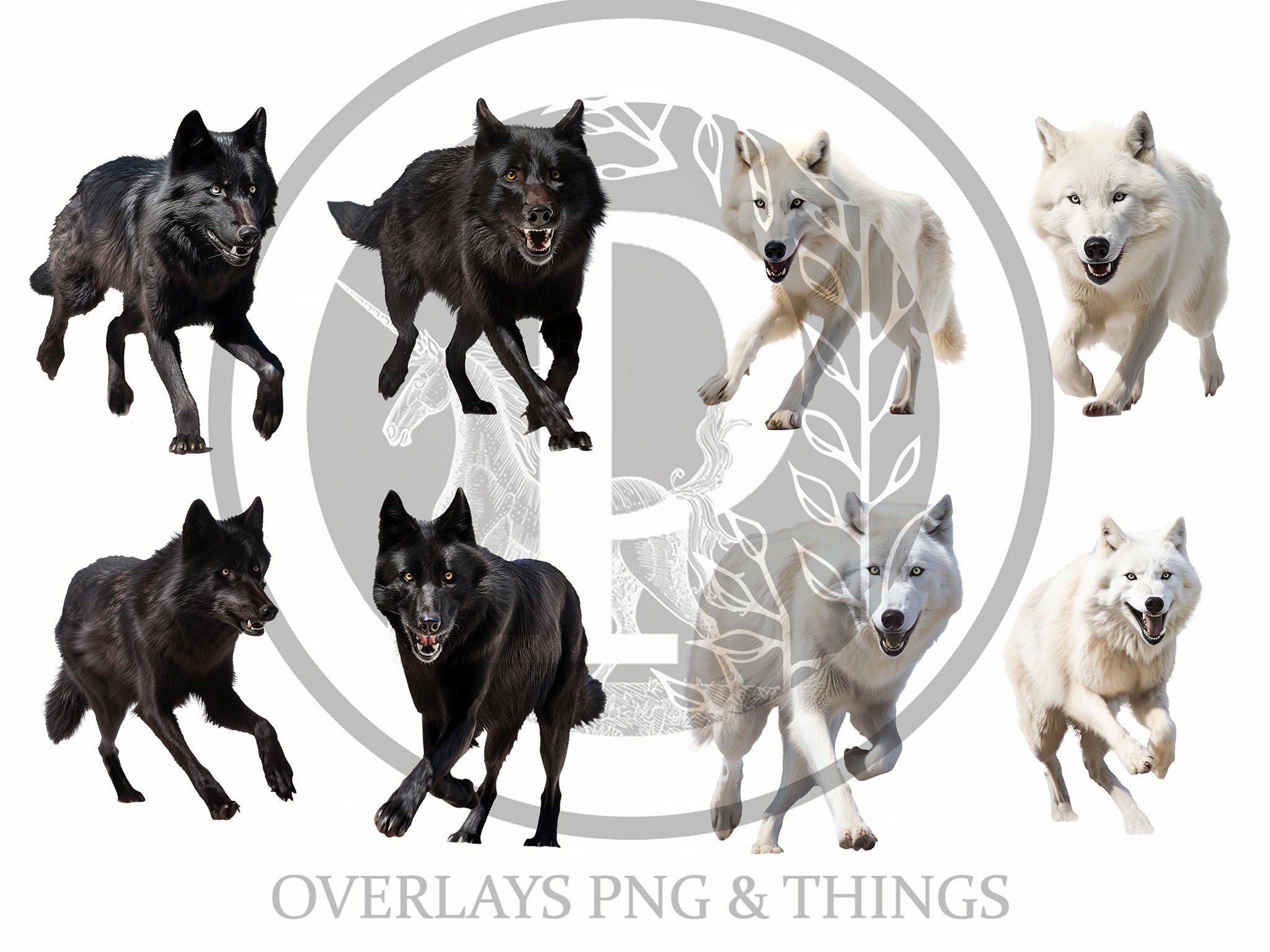 Black Wolf Digital Overlayswhite Wolf PNG Overlays Animal - Etsy