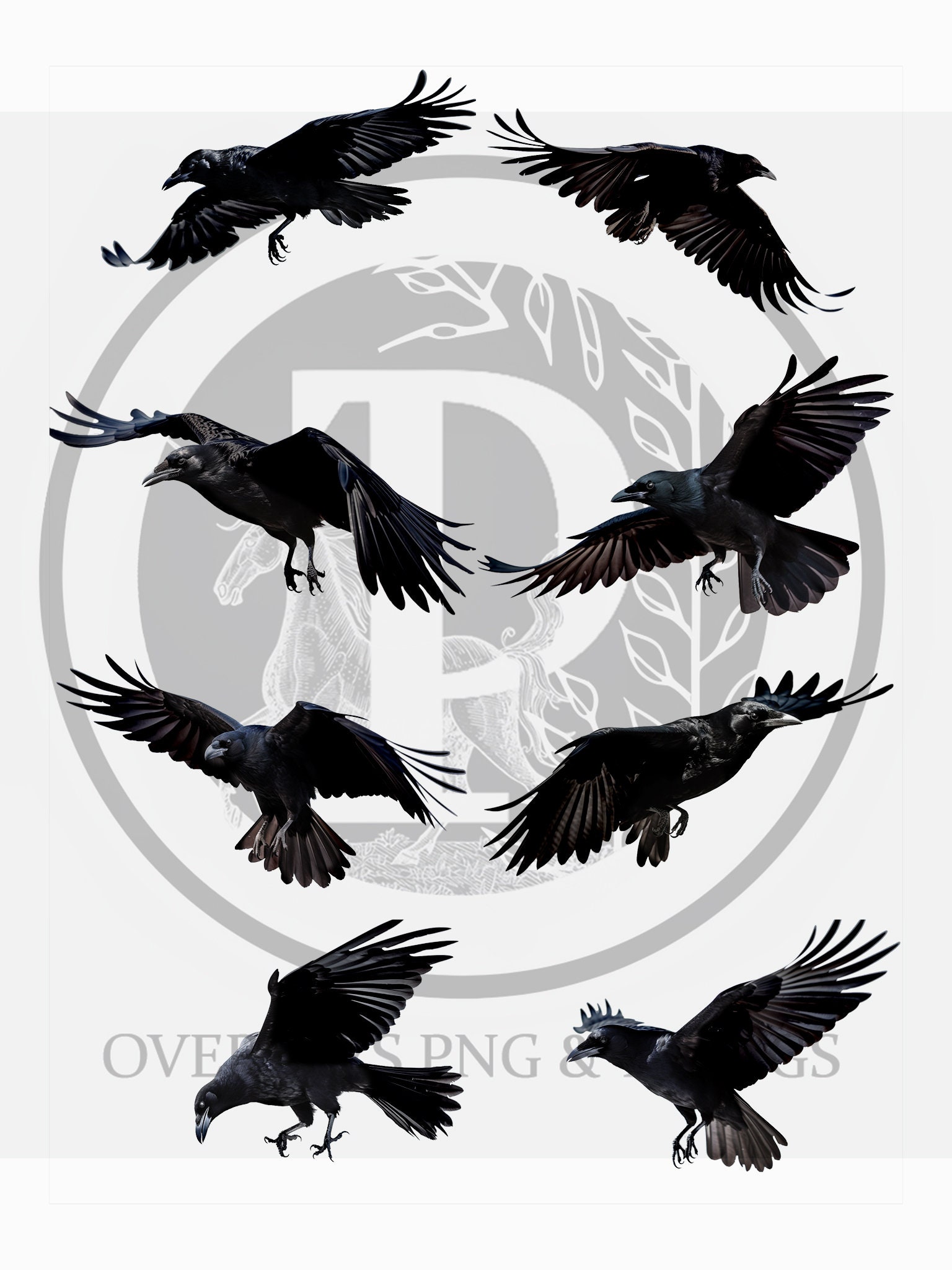 Raven Digital Overlays,raven PNG Overlays, Animal Clipart, Animal ...