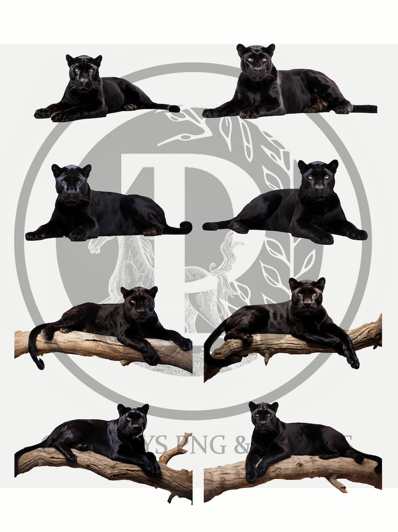 Black Panther Digital Overlays,panther Clipart,png Overlays,animal ...
