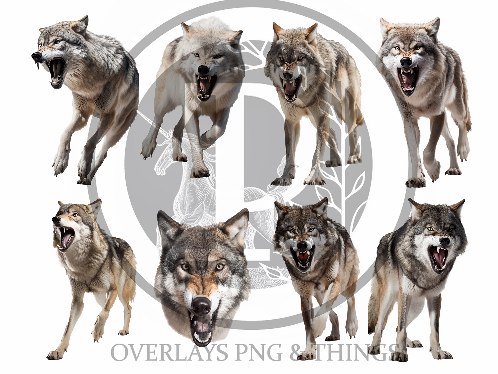 Wolves Digital Overlays, PNG Overlays, Animal Clipart, Animal Overlays ...
