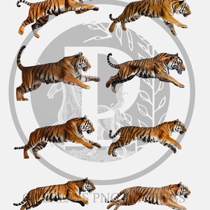 Tiger Digital Overlays,tiger Clipart,png Overlays,animal Overlays ...