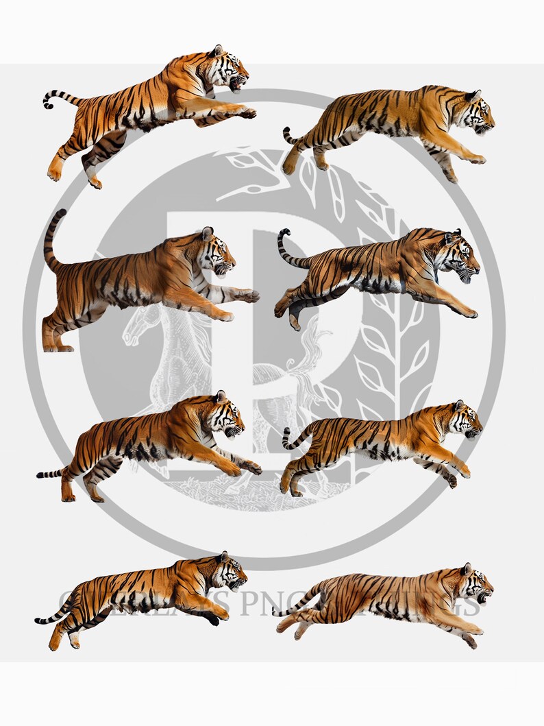 Tiger Digital Overlaystiger Clipartpng Overlaysanimal - Etsy UK