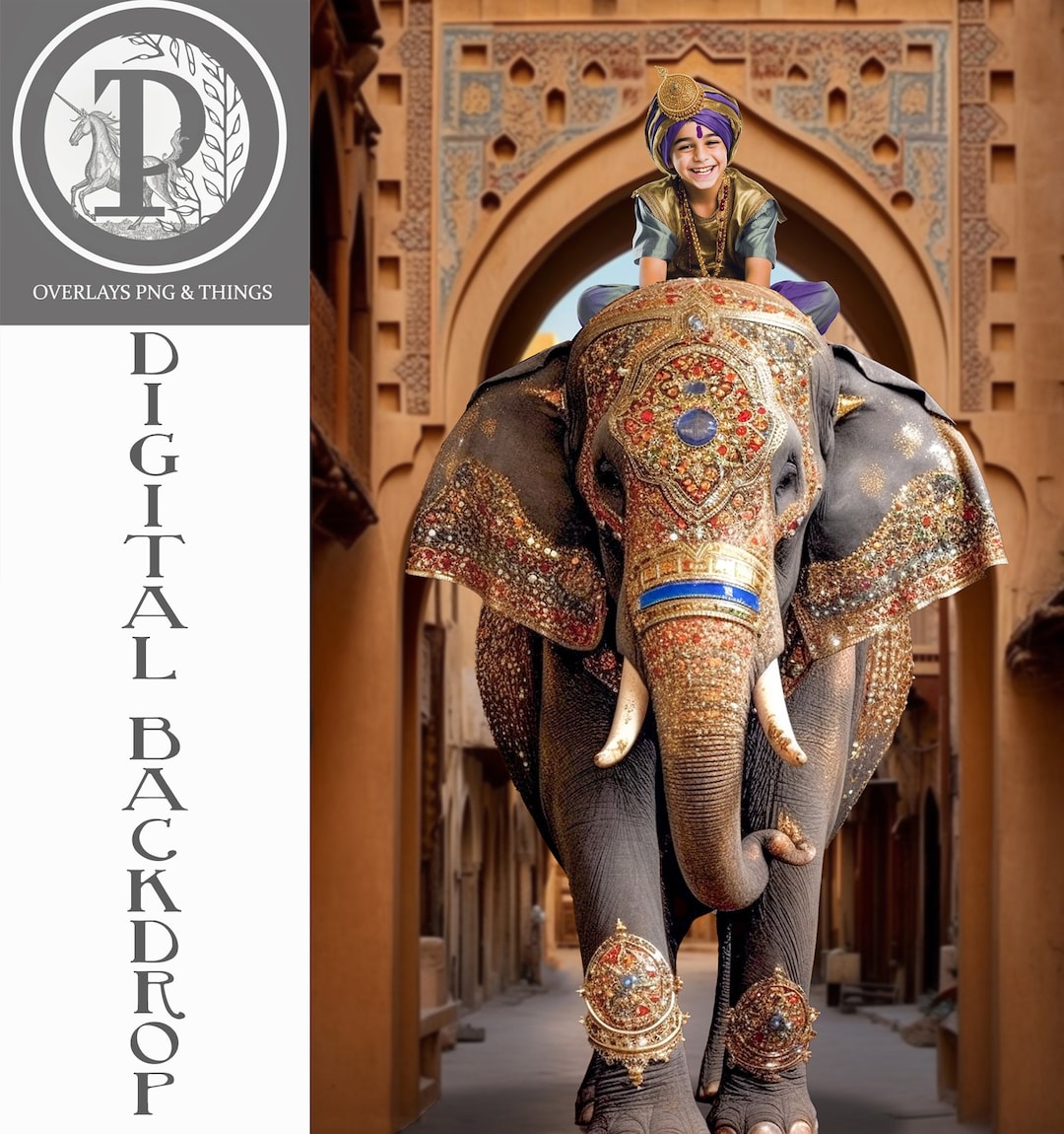 Prince Ali's Alley: Aladdin Riding Elephant Digital Backdrop - Magical ...