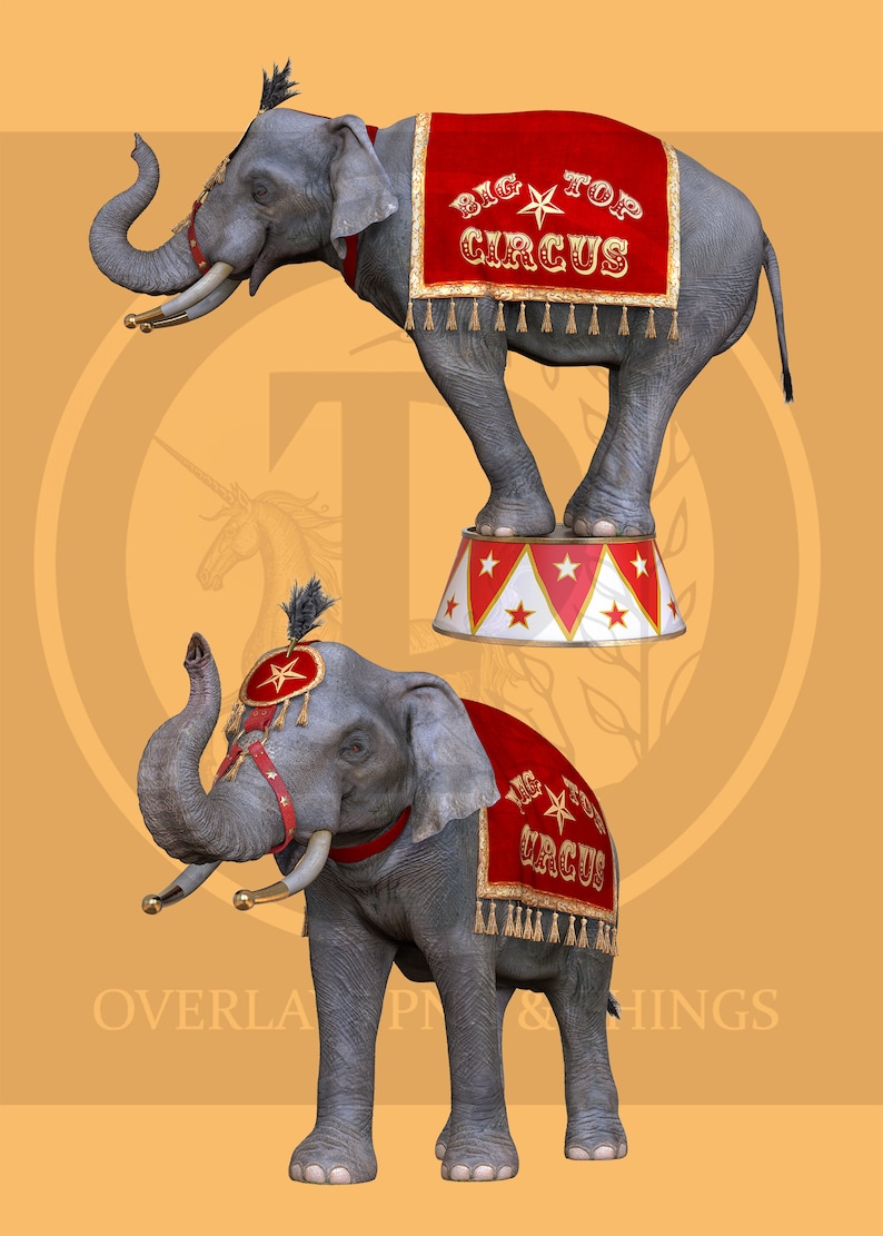 Circus Elephant Overlays / Digital Clipart / Animal Art / Big Top Props ...