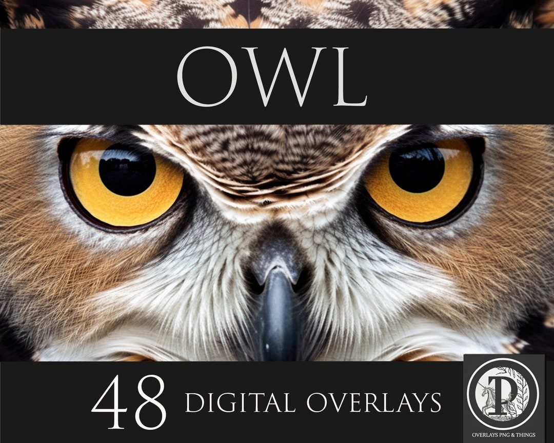 Owl Digital Overlays,owl PNG Overlays, Animal Clipart, Animal Overlays ...