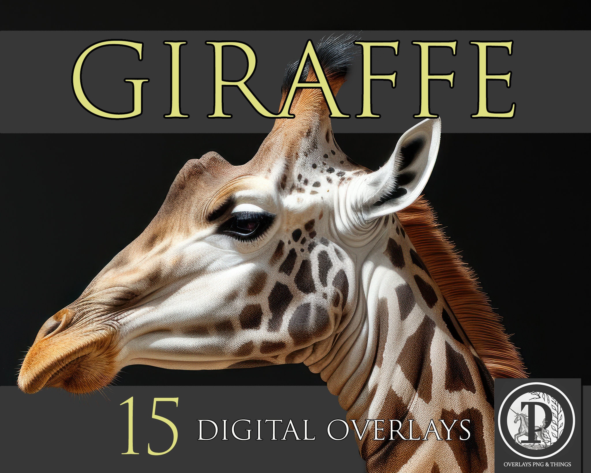 Giraffe Digital Overlays, PNG Overlays, Animal Clipart, Animal Overlays ...
