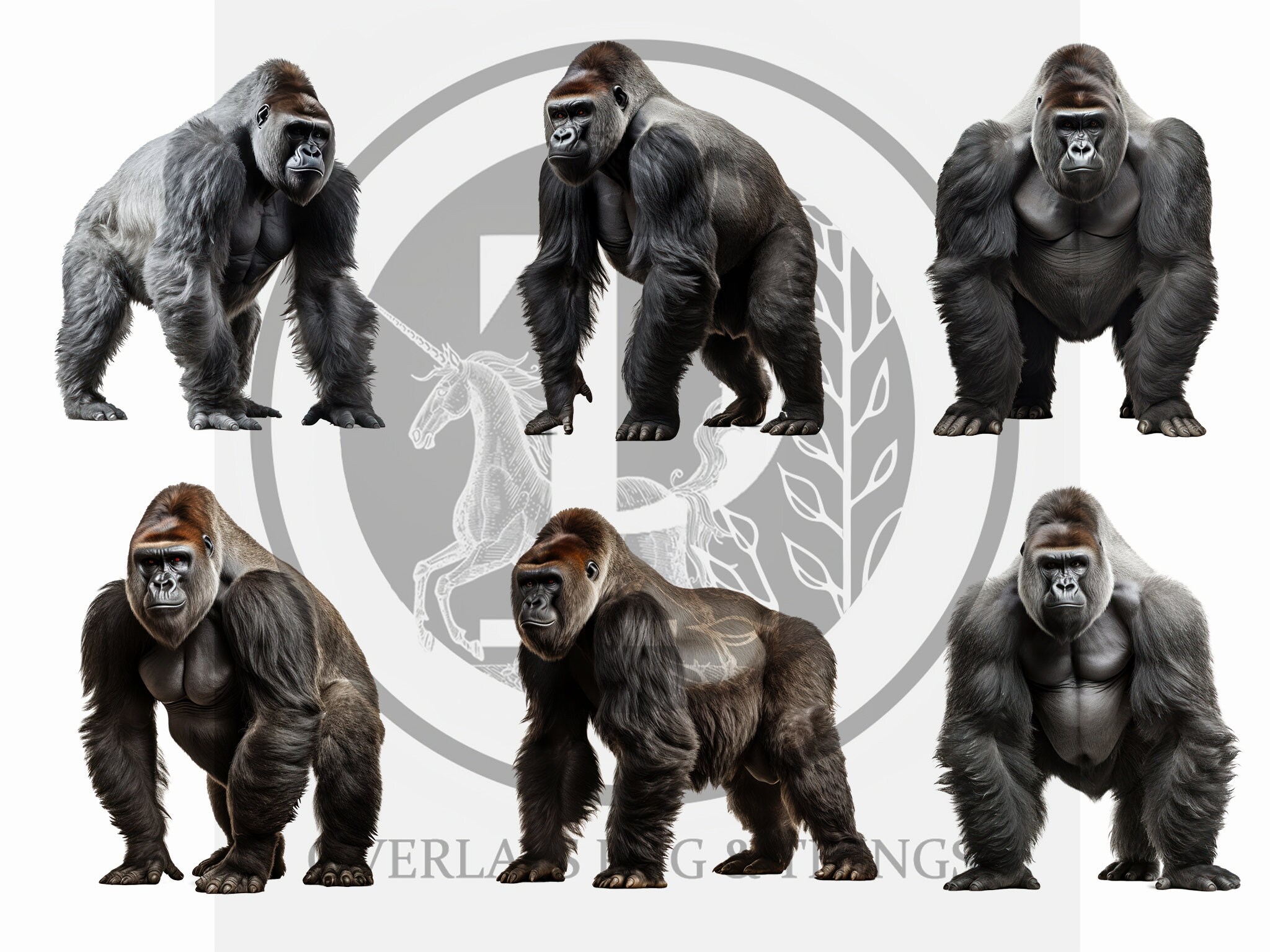 Ape Digital Overlays PNG Overlays Animal Clipart Monkey - Etsy