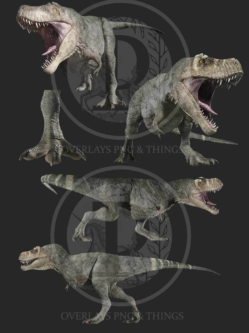 T-rex Digital Overlays,tyrannosaurus Clipart,png Overlays,dinosaur ...