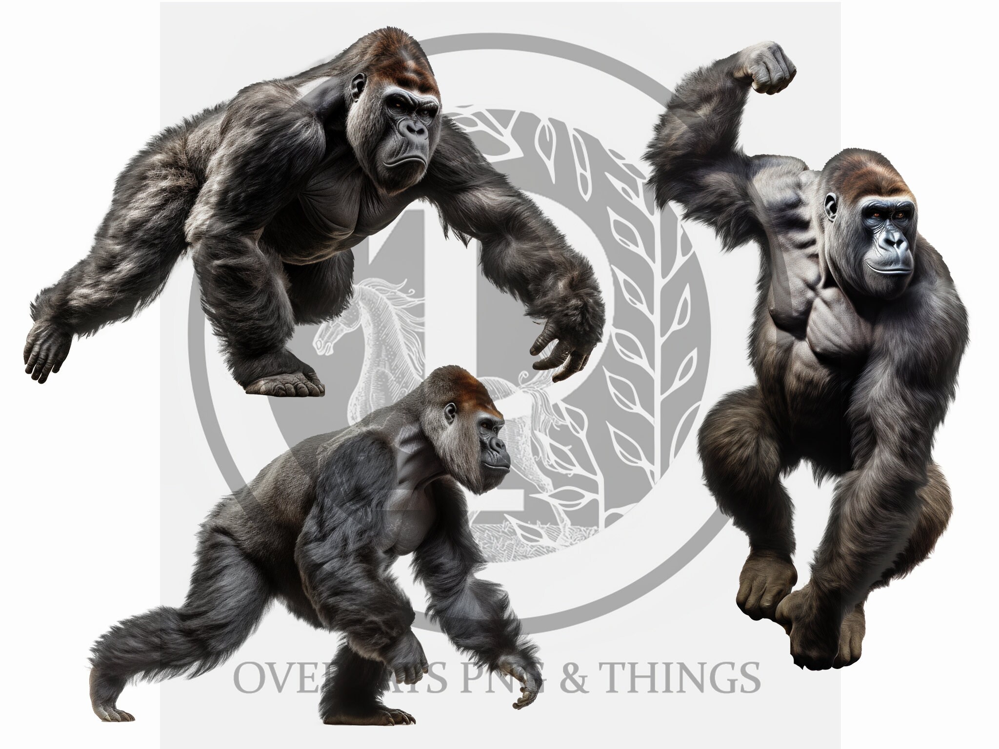 Ape Digital Overlays PNG Overlays Animal Clipart Monkey - Etsy