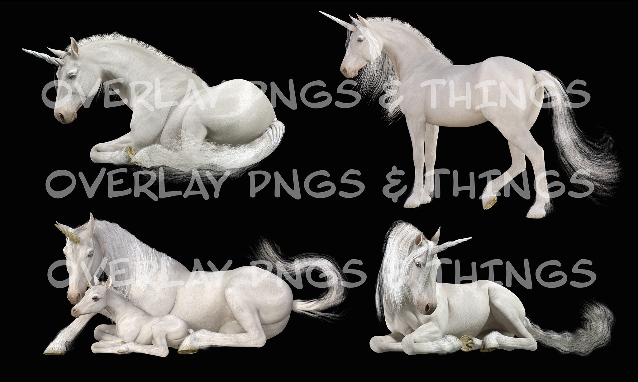 Unicorn Overlays PNG Photoshop Overlays Unicorn Digital Art Digital ...
