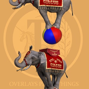 Circus Elephant Overlays / Digital Clipart / Animal Art / Big Top Props ...