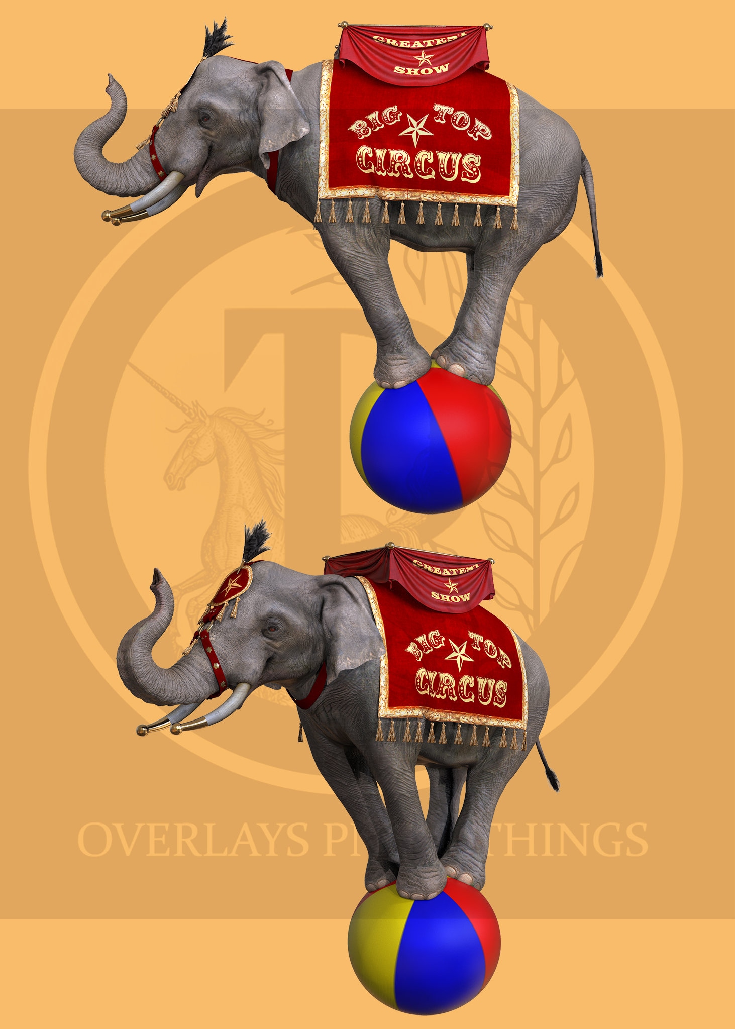 Circus Elephant Overlays / Digital Clipart / Animal Art / Big - Etsy