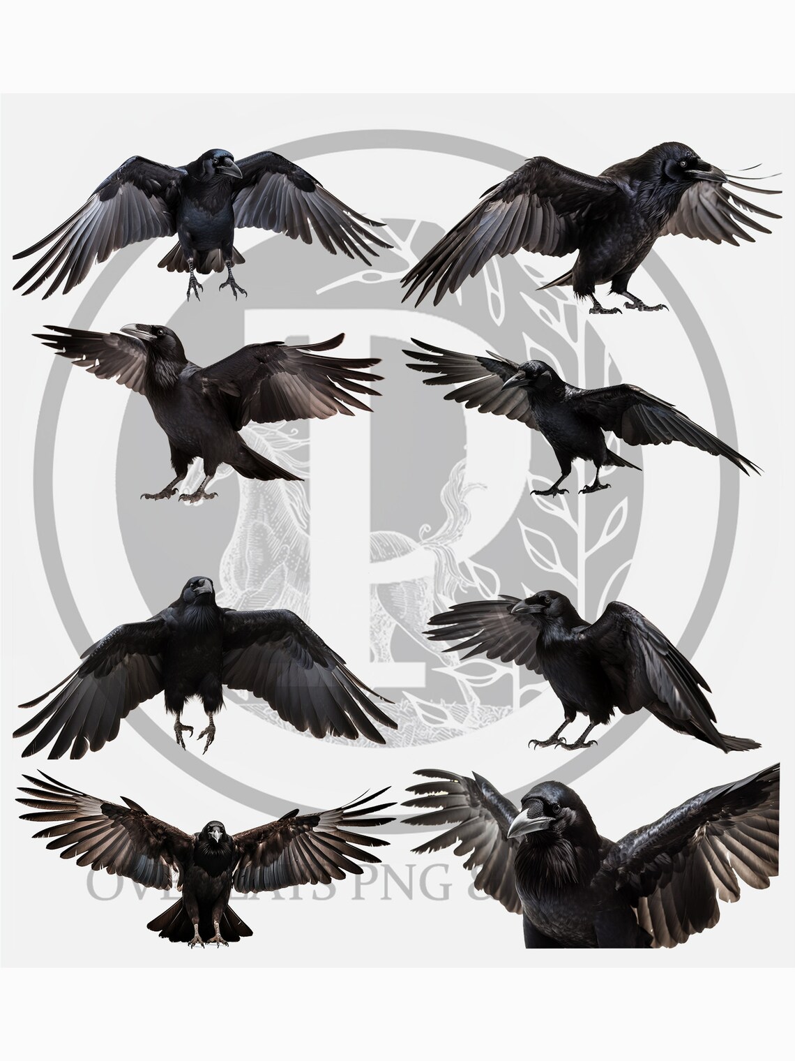 Raven Digital Overlays,raven PNG Overlays, Animal Clipart, Animal ...
