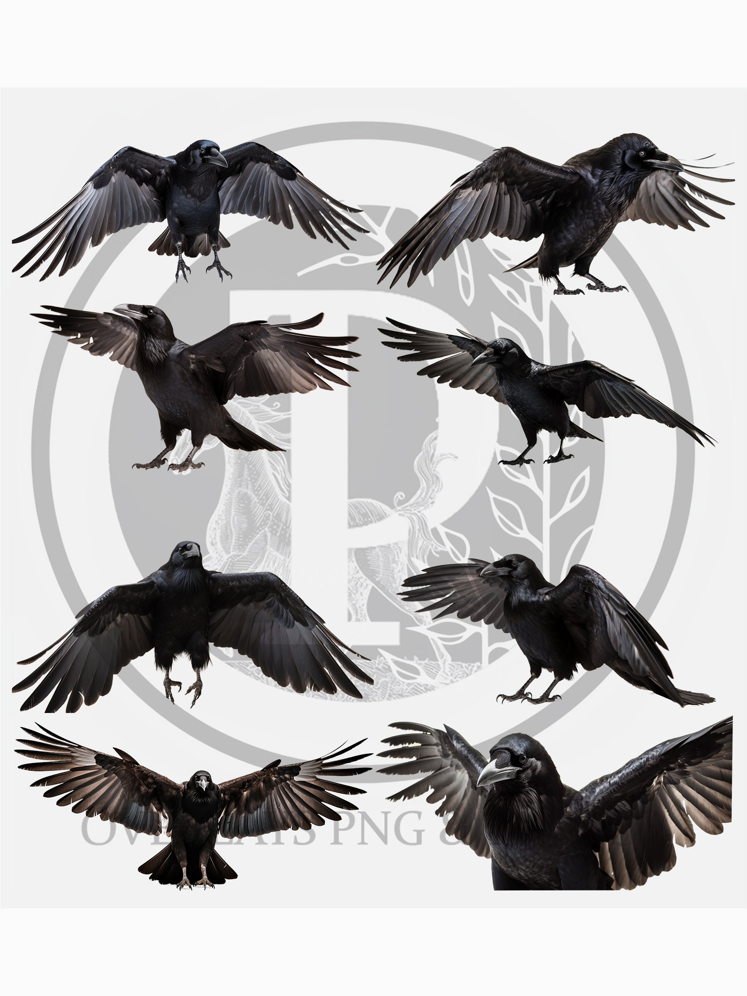 Raven Digital Overlays,raven PNG Overlays, Animal Clipart, Animal ...