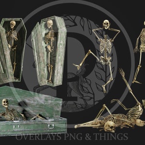 Skeleton Overlays Collection / Bone Png / Halloween Clipart / Monster ...