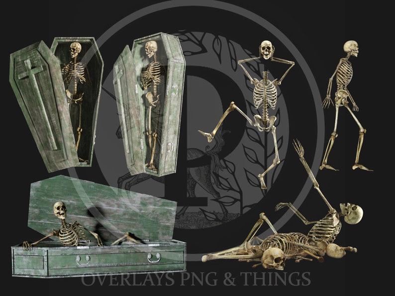Skeleton Overlays Collection / Bone Png / Halloween Clipart / - Etsy