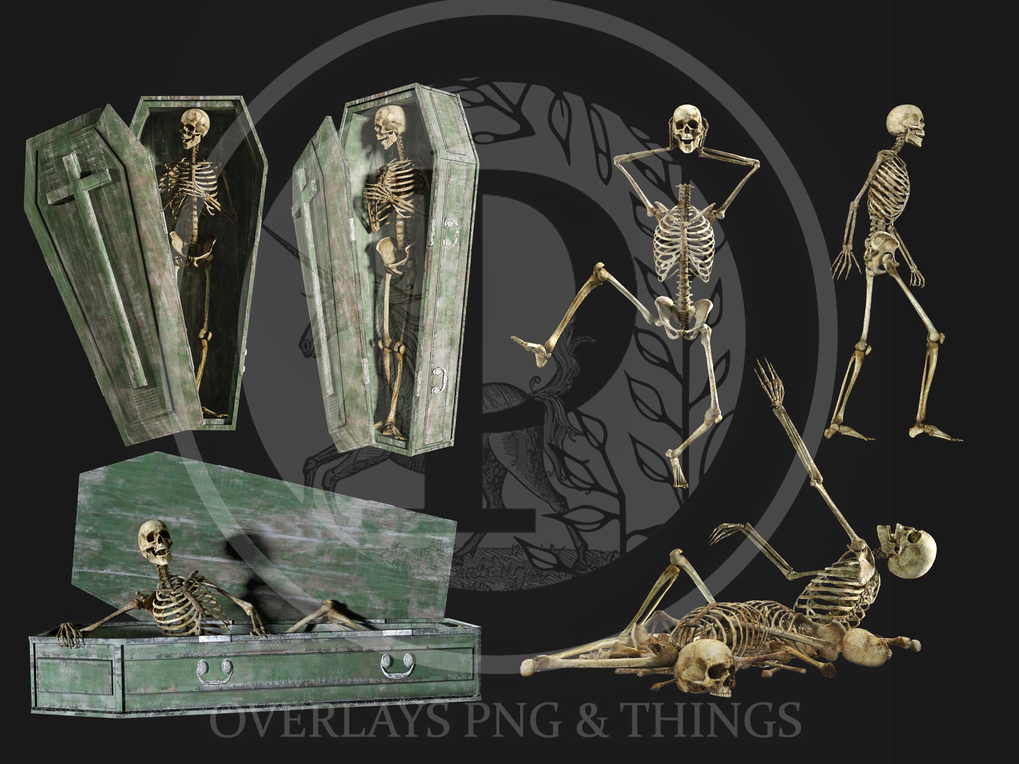 Skeleton Overlays Collection / Bone Png / Halloween Clipart / - Etsy