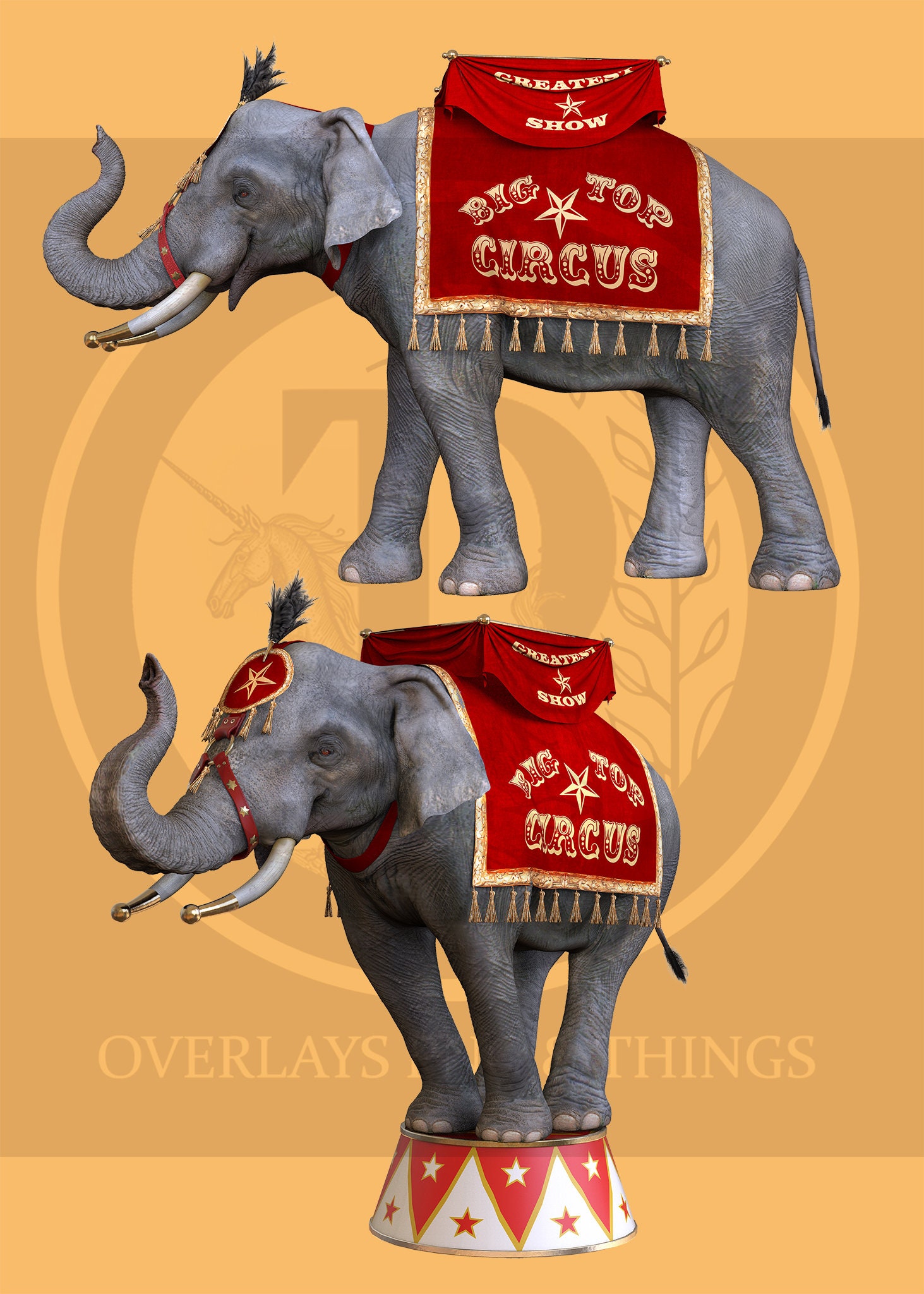Circus Elephant Overlays / Digital Clipart / Animal Art / Big Top Props ...