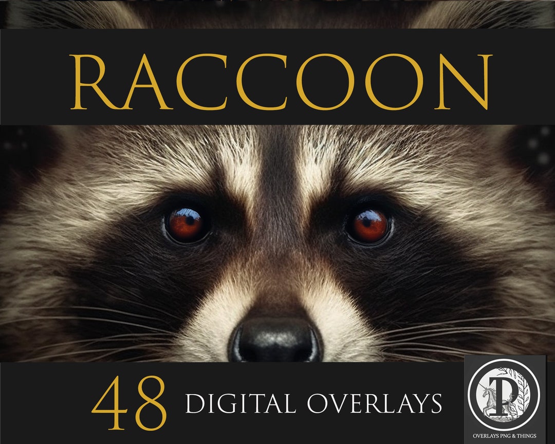 Racoon Digital Overlays, PNG Overlays, Animal Clipart, Animal Overlays ...