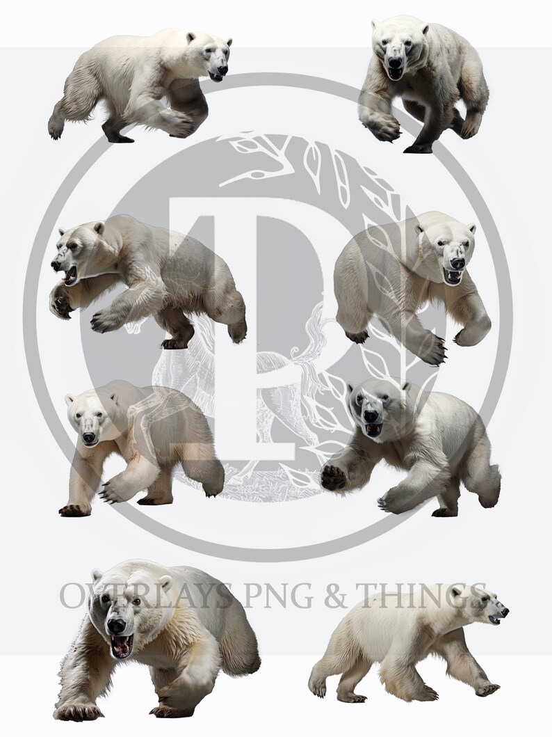 Polar Bear Digital Overlays, PNG Overlays, Animal Clipart, Animal ...