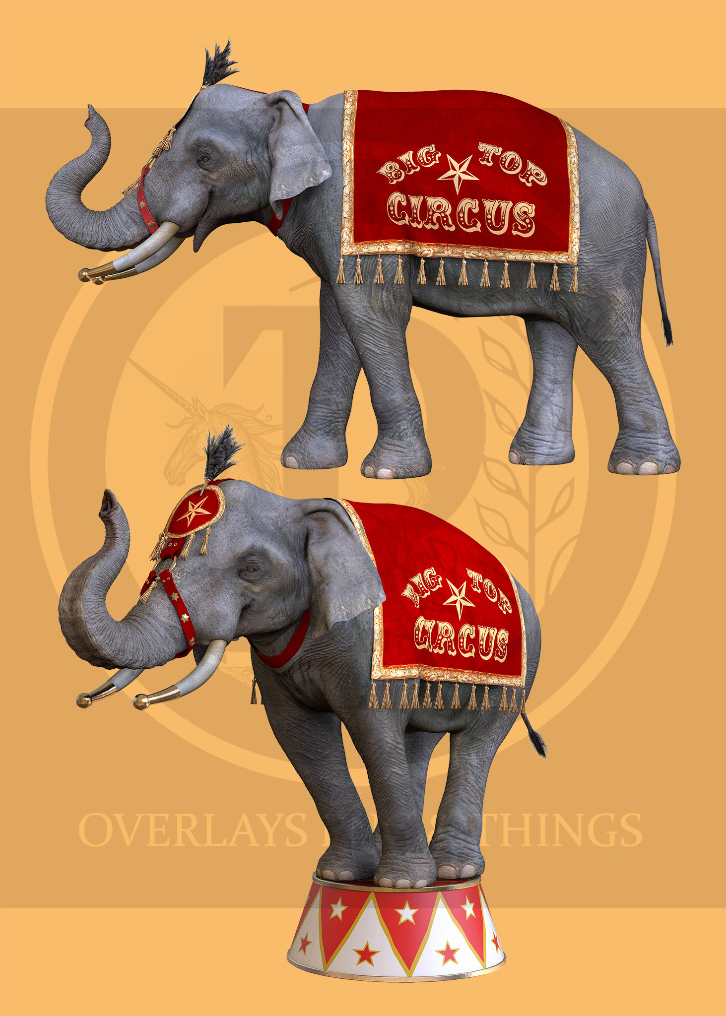 Circus Elephant Overlays / Digital Clipart / Animal Art / Big Top Props ...