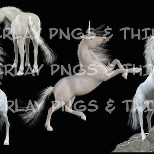 Unicorn Overlays | PNG | Photoshop Overlays | Unicorn Digital Art ...