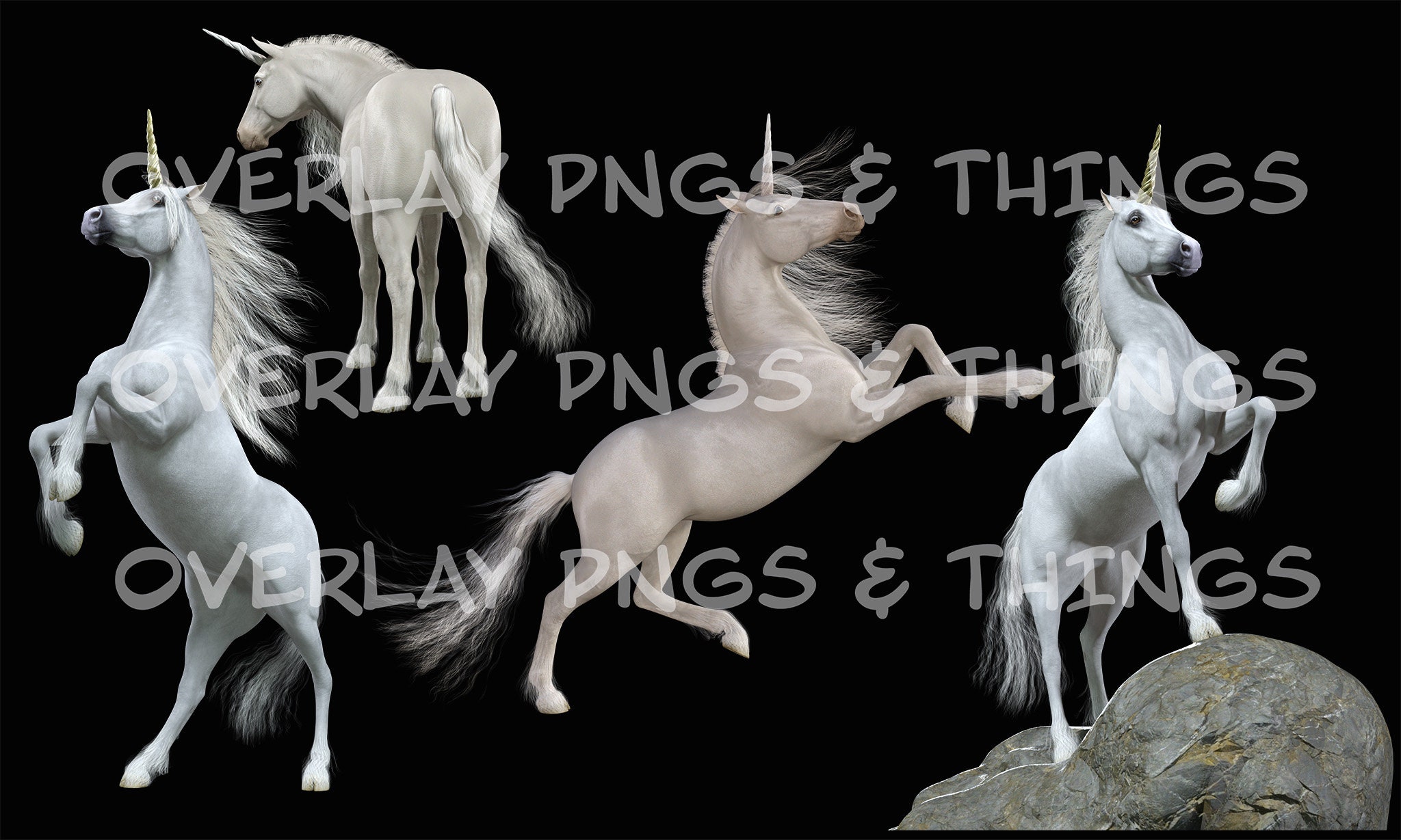 Unicorn Overlays PNG Photoshop Overlays Unicorn Digital Art Digital ...