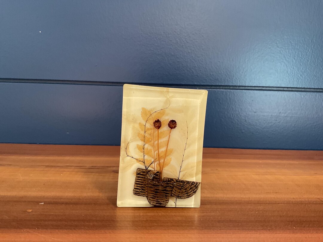 Vintage Lucite Resin Toothpick Holder With Basket, and Pressed Dried ...