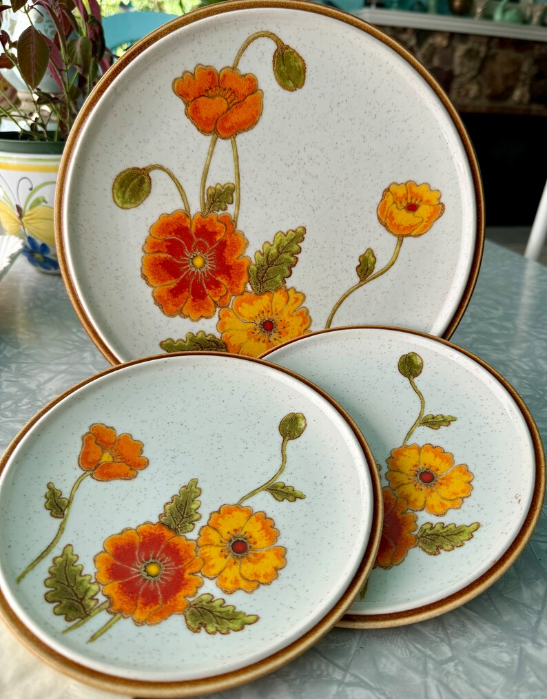 Mikasa California Poppies Dinner and Salad Plates Vintage 1970s Natural ...