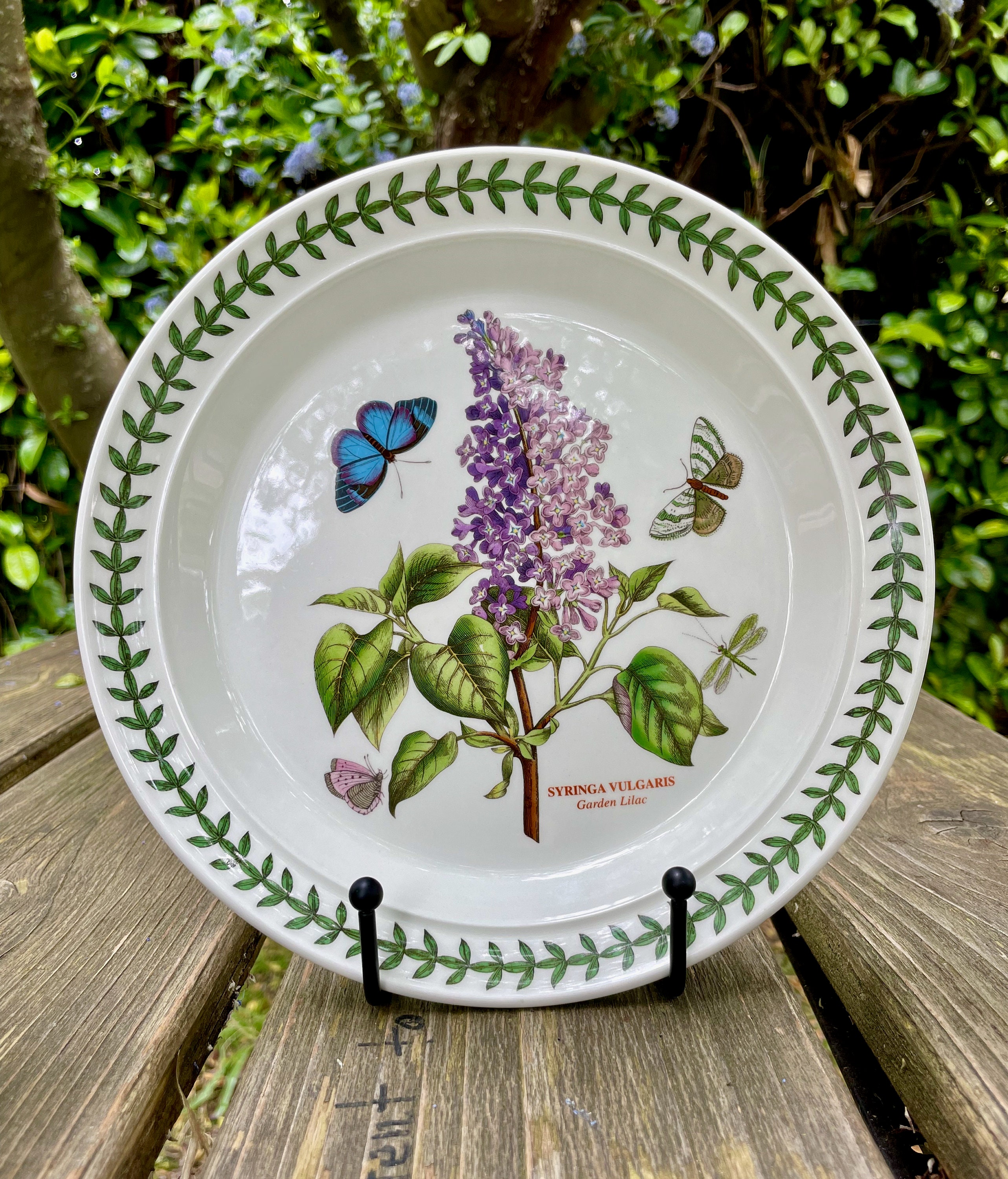 Portmeirion Botanic Garden Dinner Plates and Lunch Plates Mix and Match ...