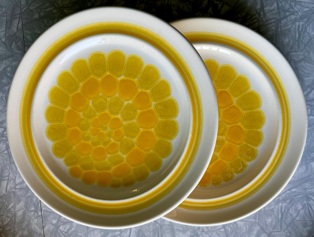 2 Dinner Plates Franciscan Sundance Vintage Stoneware - Etsy