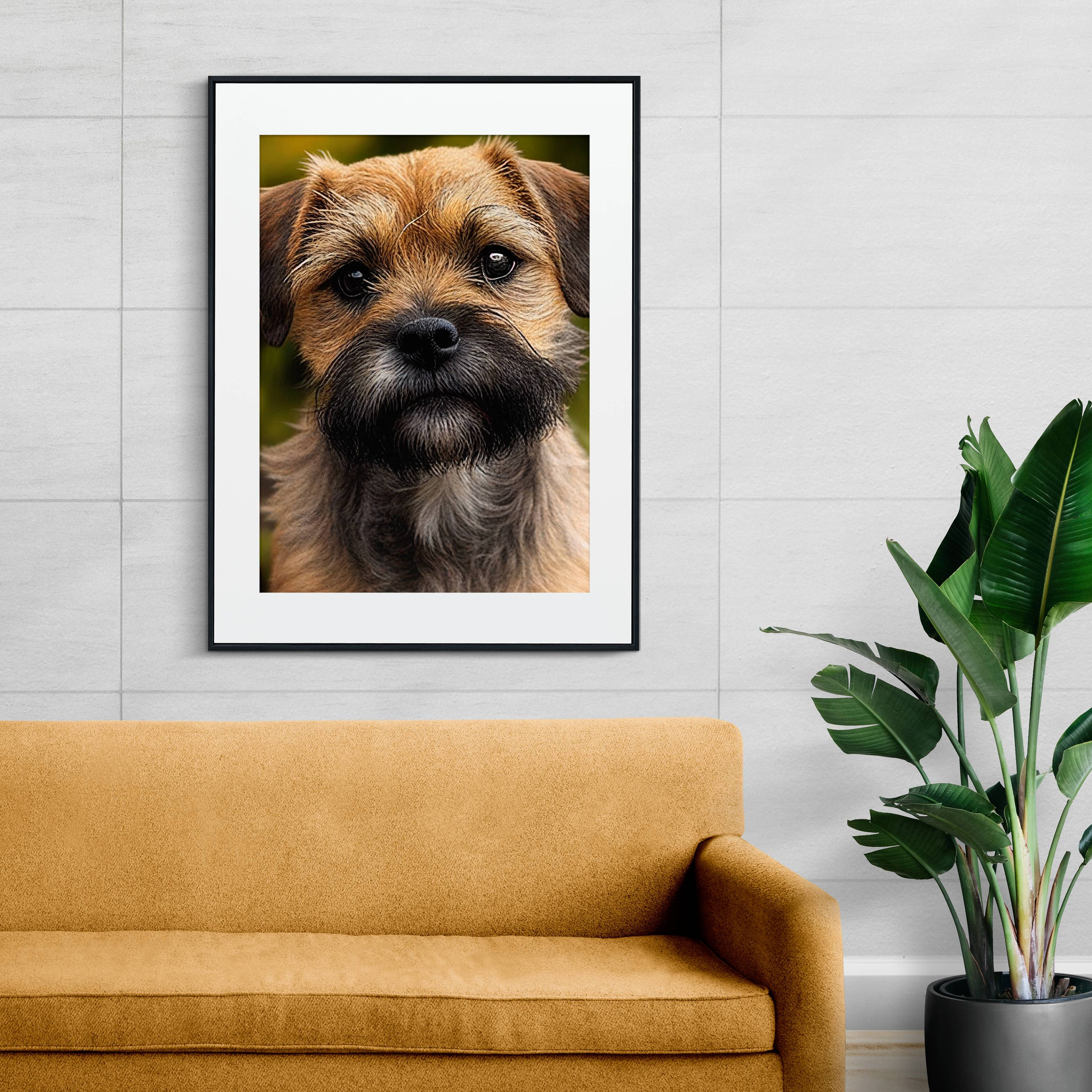 Border Terrier Print - Digital Download - Etsy