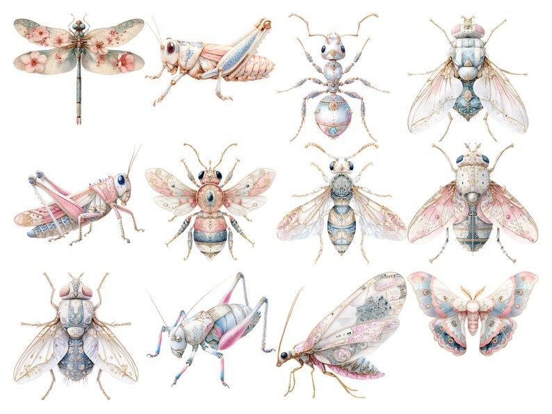 Watercolor White Insects Clipart, 30 PNG Insects Clipart, Commercial ...