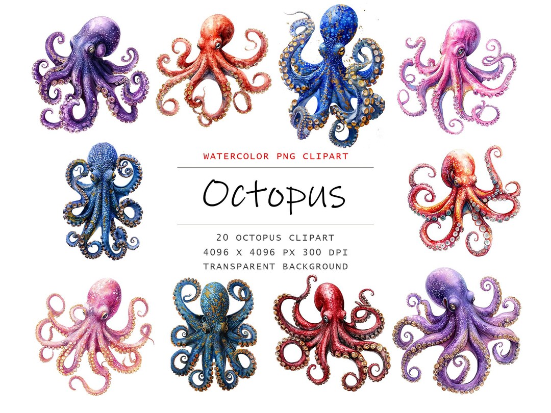 Watercolor Octopus Clipart, 20 PNG Sea Animal Clipart, Commercial Use ...