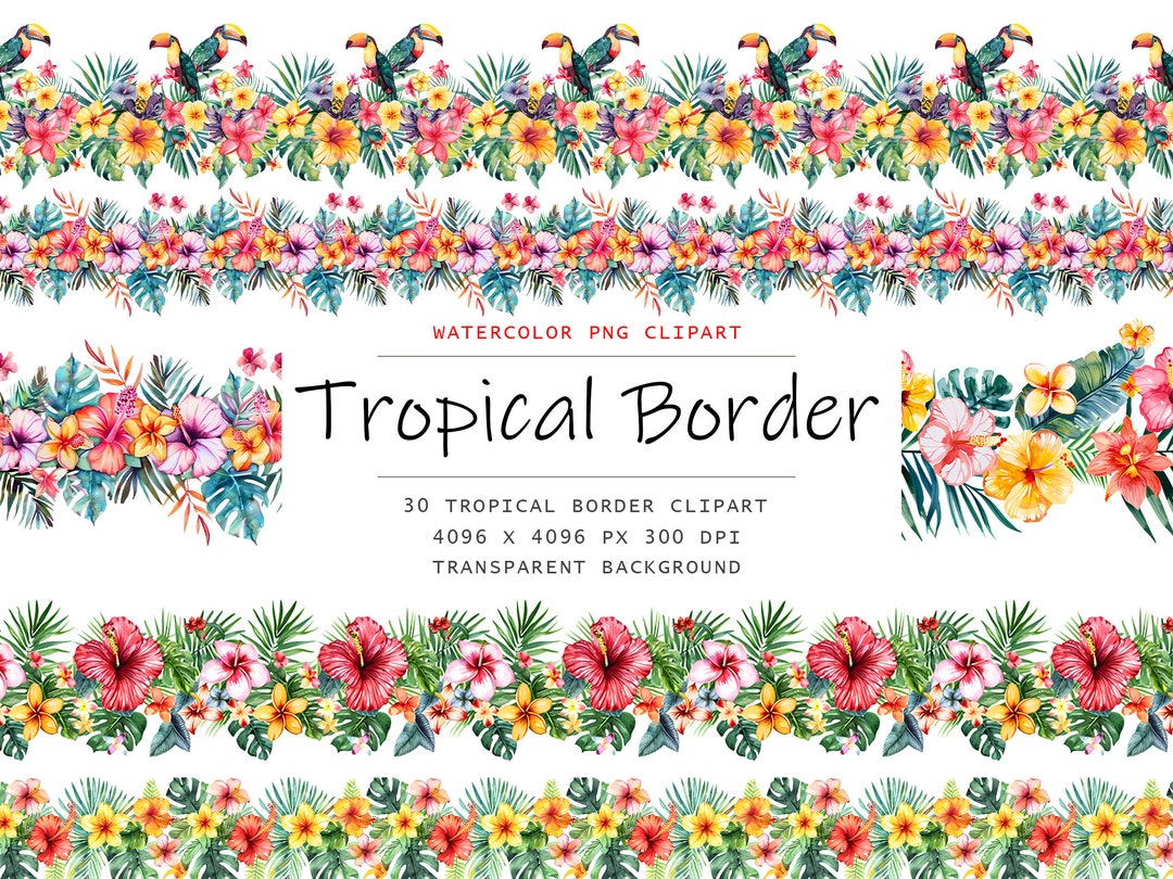 Watercolor Tropical Flowers Borders Clipart, 30 PNG Tropical Flowers ...