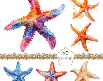 Watercolor Starfish Clipart, 30 PNG Starfish Clip Art, Commercial Use ...